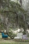 Rhys Chair | Anthropologie