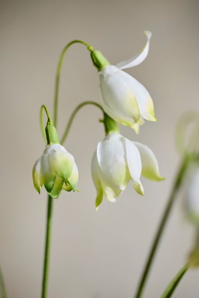 Faux Snowdrop Spray | Terrain