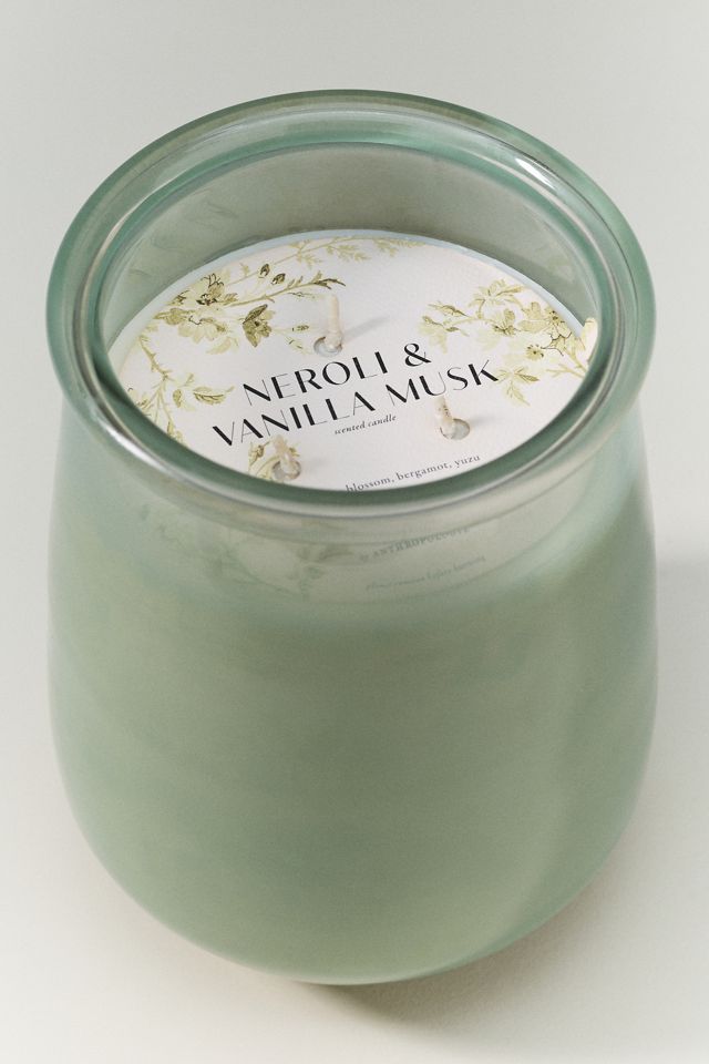 Honeypot Fresh Neroli & Vanilla Musk Glass Candle | AnthroHome