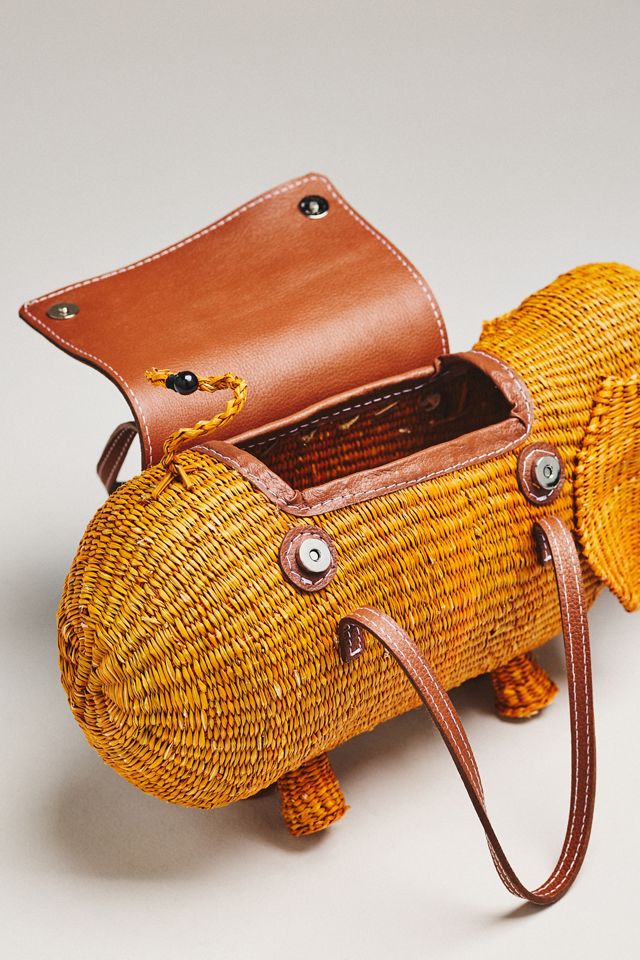 Sensi Studio Straw Dog Bag | Anthropologie