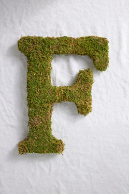 Terrain Sheet Moss Letter | ModeSens