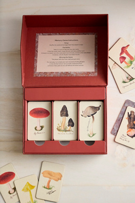 Fungi Memory Game | Terrain
