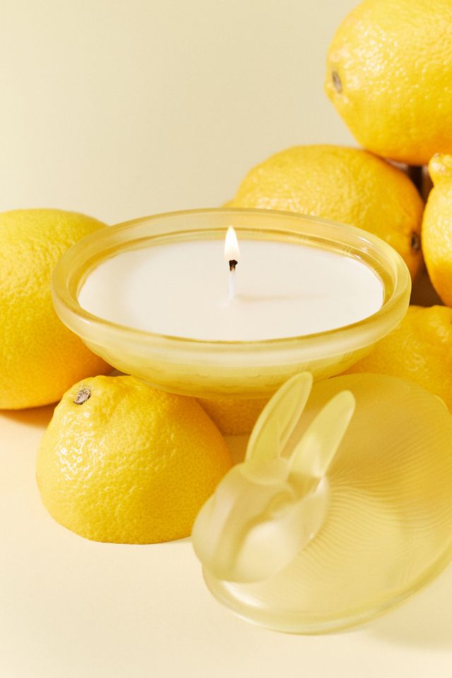 Spring Bunny Floral Lemon Blossom Figural Glass Candle | AnthroHome