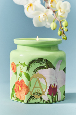 Apothecary 18 Floral Orchid & Amber Ceramic Candle | AnthroHome