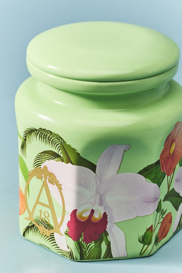 Apothecary 18 Floral Orchid & Amber Ceramic Candle | AnthroHome