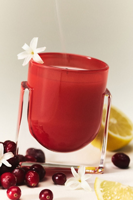 Found Notes Fruity Berry Citron & Blossom Glass Candle | AnthroHome
