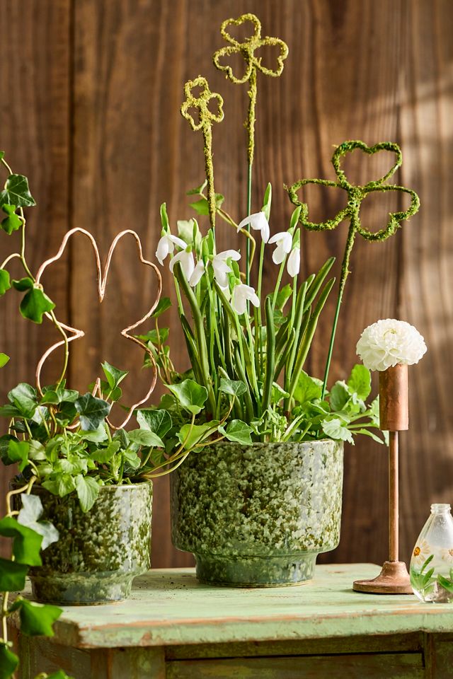 Shamrock Wire Trellis | AnthroHome
