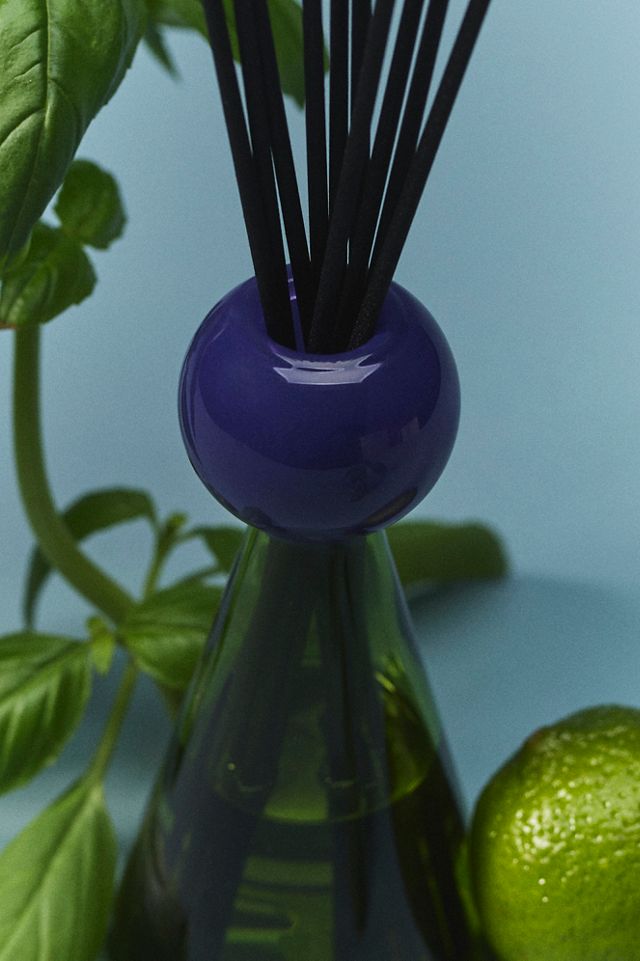 wxy. Fresh Basil & Sweet Lime Glass Reed Diffuser | AnthroHome