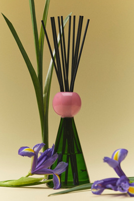wxy Floral Orris Root & Amber Glass Reed Diffuser | AnthroHome