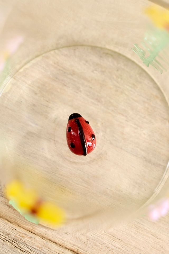 Ladybug Glass Watering Can | Terrain