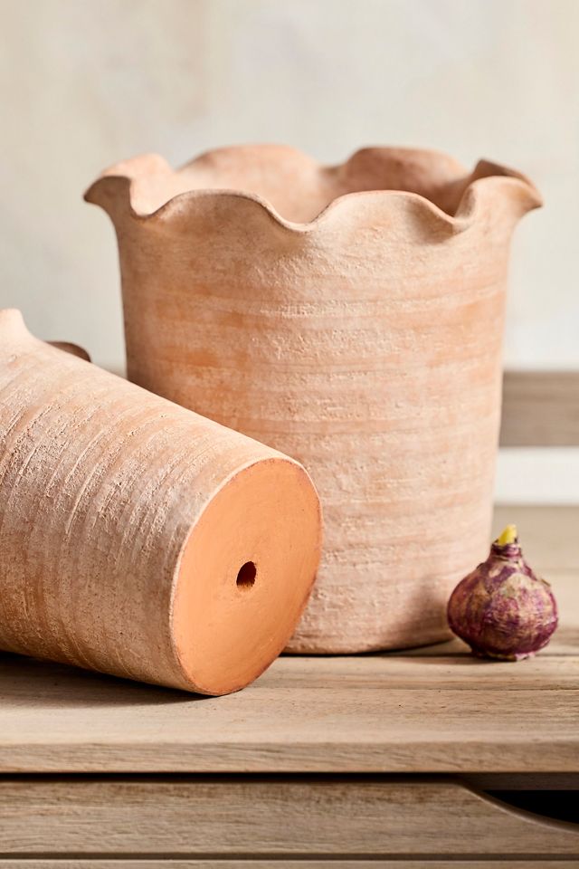 Terracotta Pie Crust Rim Planter, Straight Side | Terrain