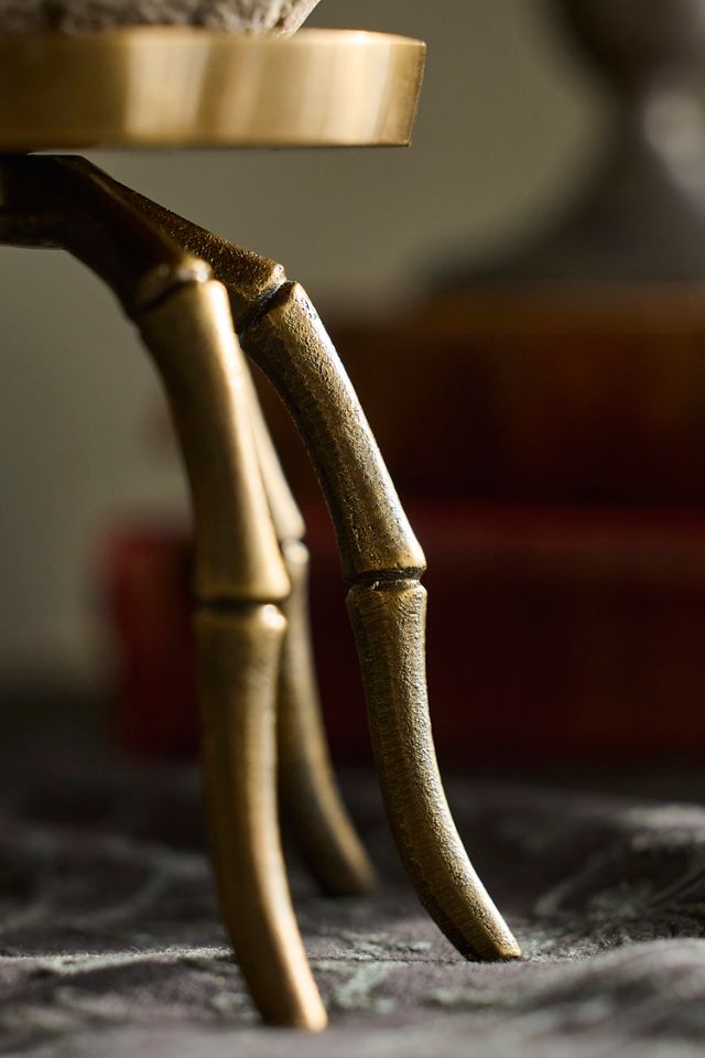 Brass Spider Plant Stand | Anthropologie