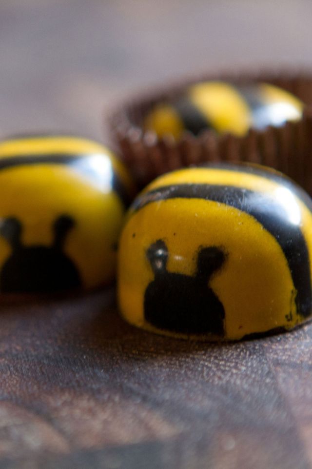 John & Kira's Chocolate Bees | Terrain