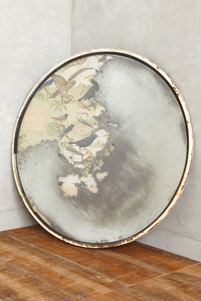 Reclaimed Belgian Traffic Mirror | Anthropologie