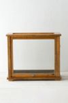 Specimen Case Terrarium | Anthropologie