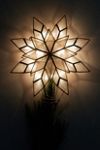 Capiz Star Tree Topper | Anthropologie