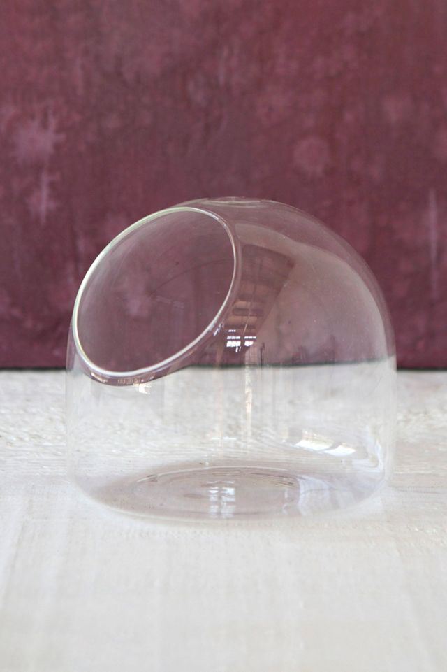 Angled Dome Glass Ter | Terrain