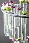 Laboratory Vase | Anthropologie