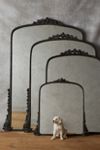 Gleaming Primrose Mirror | Anthropologie UK