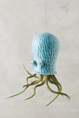 Sea Creature Hanging Planter | Anthropologie