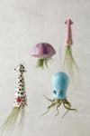 Sea Creature Hanging Planter | Anthropologie