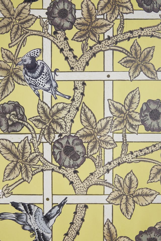 Chartreuse Trellis Wallpaper | AnthroLiving