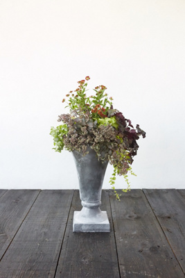 Cast Iron Flare Urn | AnthroLiving
