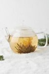 Teaposy Teapot & Teas | Anthropologie