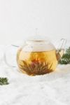 Teaposy Teapot & Teas | Anthropologie