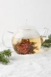 Teaposy Teapot & Teas | Anthropologie