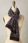 Remy Velvet Scarf | Anthropologie