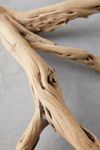 Ghostwood Log | AnthroLiving