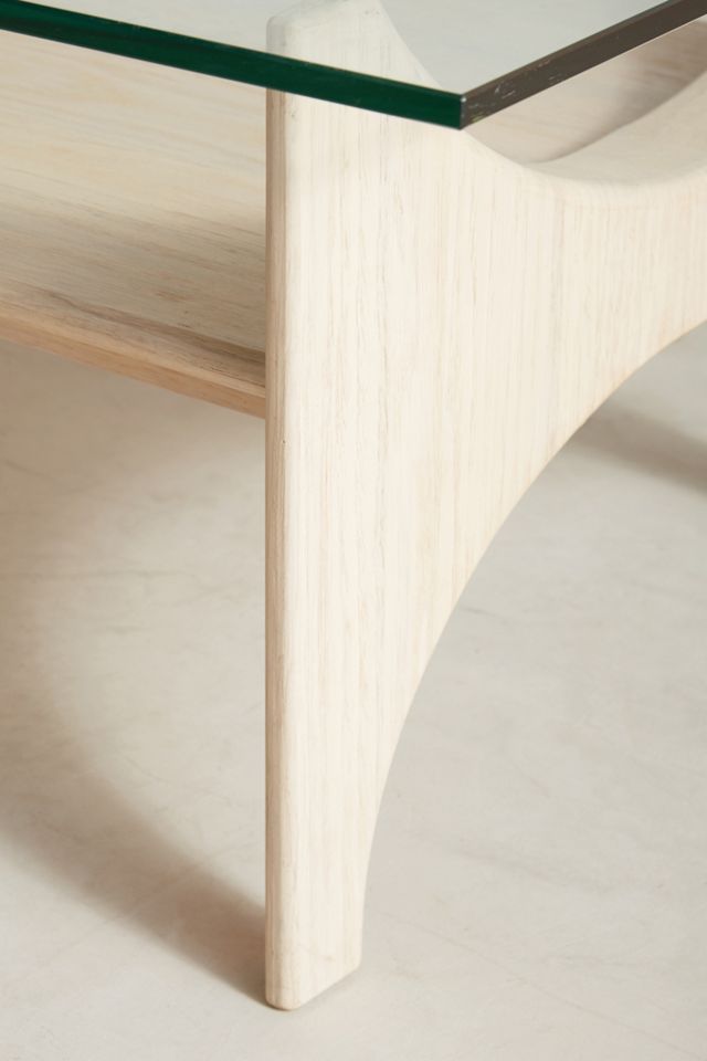 Panorama Display Coffee Table | AnthroLiving