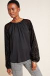 Dolan Left Coast Brianna Burnout Velvet Blouse | Anthropologie