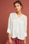 Sheer Shimmer Buttondown | Anthropologie