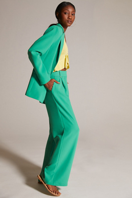 Exquise Pleated Trousers | Anthropologie