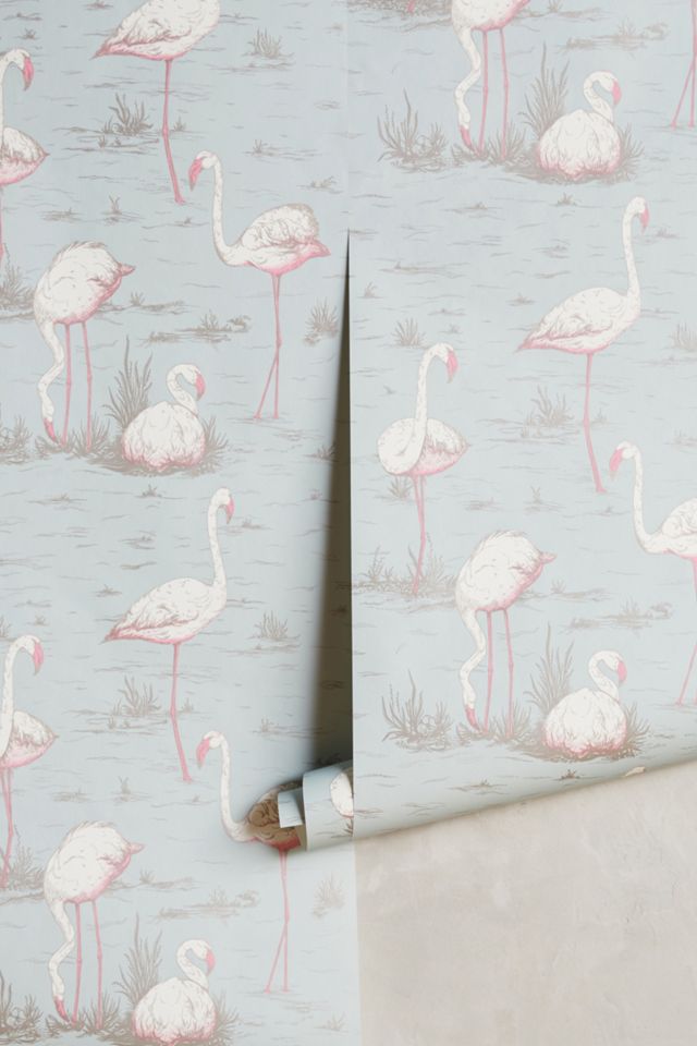 Wading Flamingos Wallpaper | Anthropologie