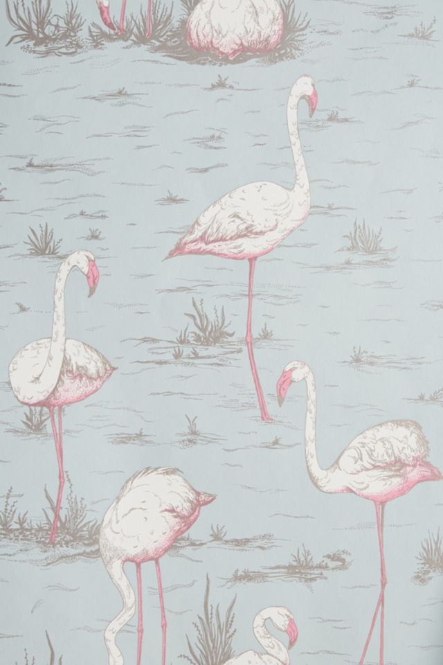 Wading Flamingos Wallpaper | Anthropologie
