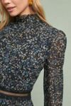 Countess Dress | Anthropologie