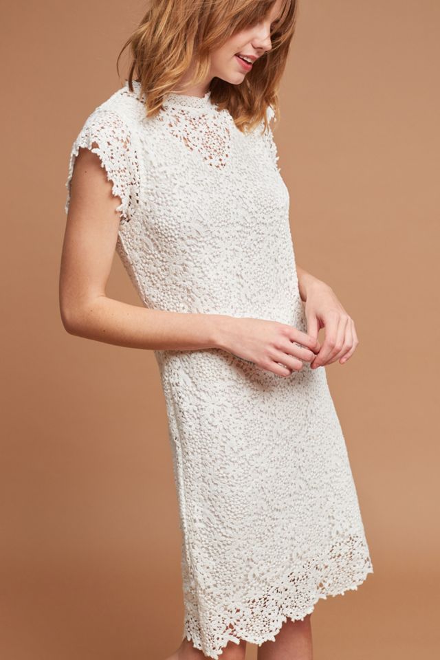 Velvet by Graham & Spencer Allegra Lace Dress | Anthropologie