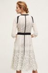 Shelby Lace Dress | Anthropologie