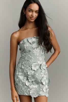 Endless Rose Strapless Floral Embroidered Mini Dress | Anthropologie