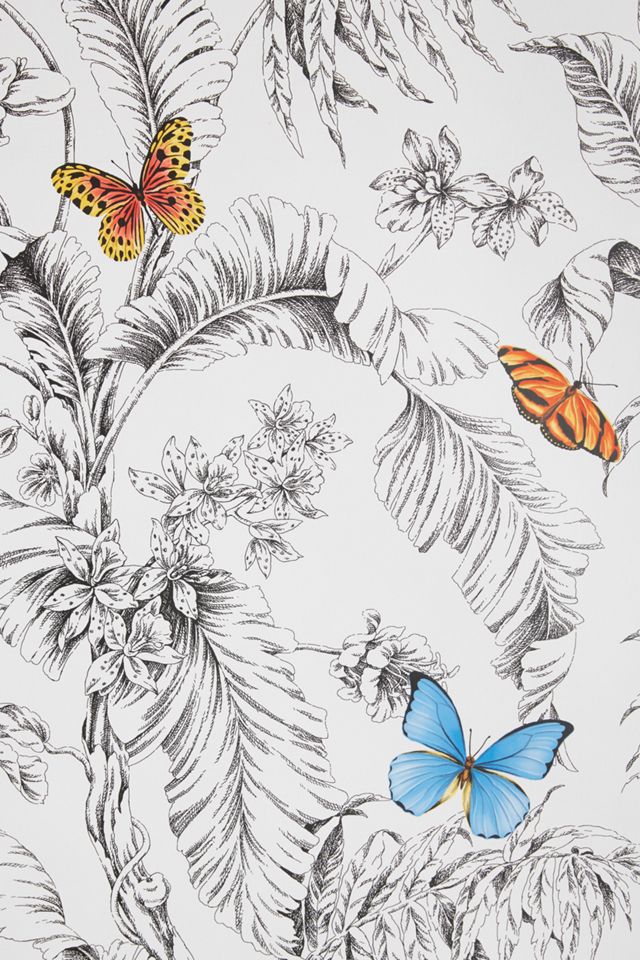 Papillon Toile Butterfly Wallpaper | AnthroHome