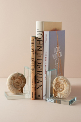 Fossil Form Bookends | Anthropologie