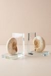 Fossil Form Bookends | Anthropologie