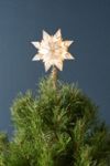 Capiz Star Light-Up Tree Topper | Anthropologie