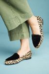 AoverA Maya Leopard Loafers | Anthropologie