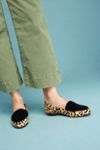 AoverA Maya Leopard Loafers | Anthropologie