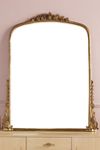 Gleaming Primrose Mirror | Anthropologie UK