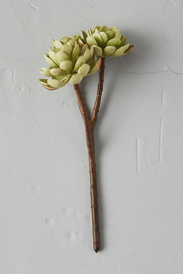 Faux Hens & Chicks Stem | AnthroLiving